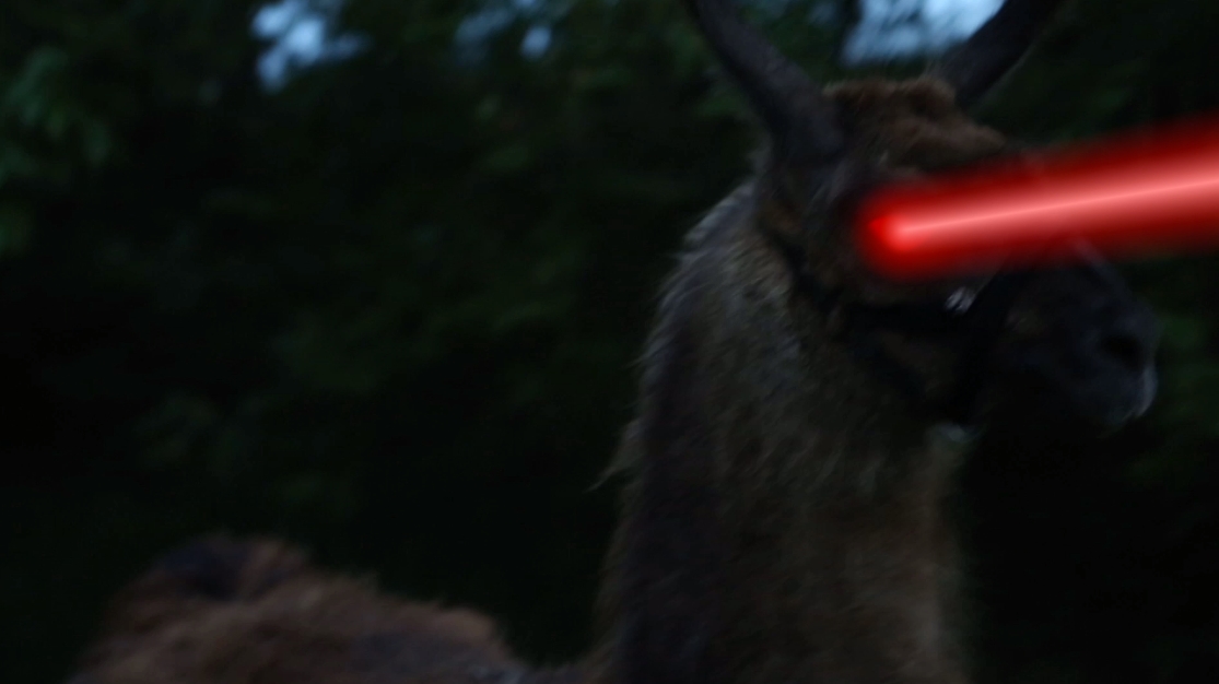 Evil Llama Just When I Thought Hatred And Evil Had Won The